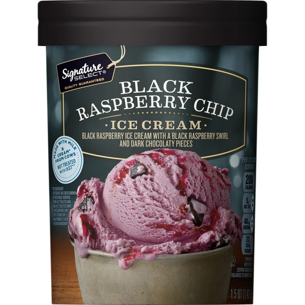 Black Raspberry Ice Cream